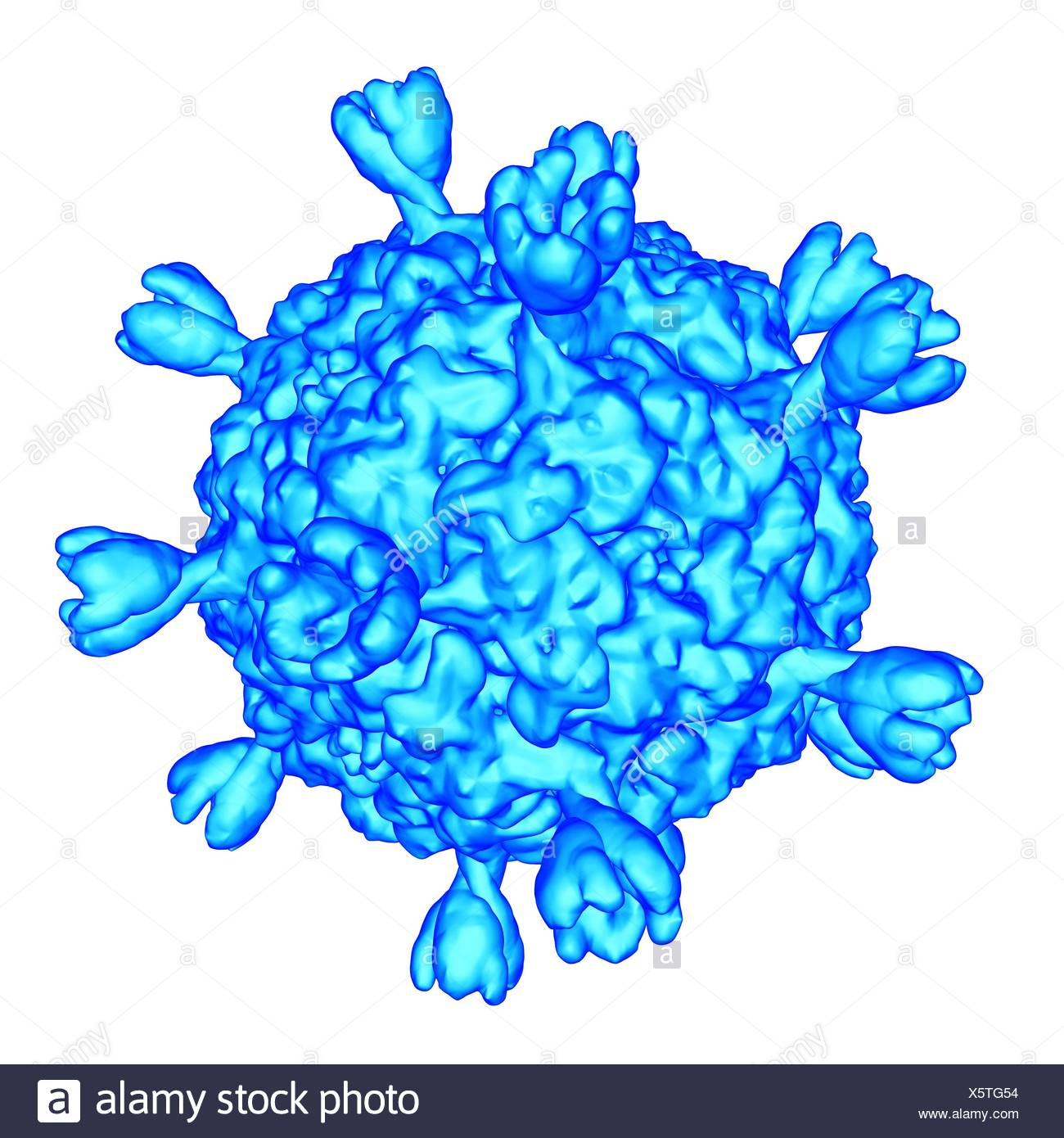 Smallpox Virus Stock Photos & Smallpox Virus Stock Images - Alamy