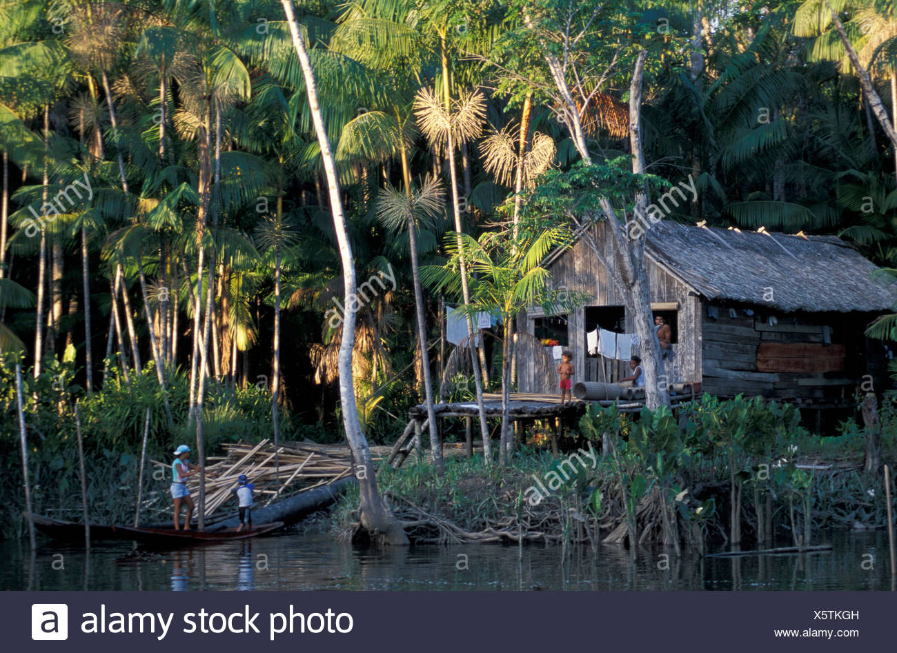 Amazon River Delta High Resolution Stock Photography and Images - Alamy