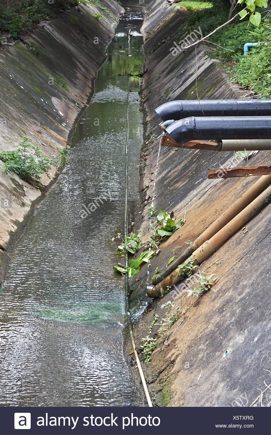 Contaminated Canals High Resolution Stock Photography and Images - Alamy