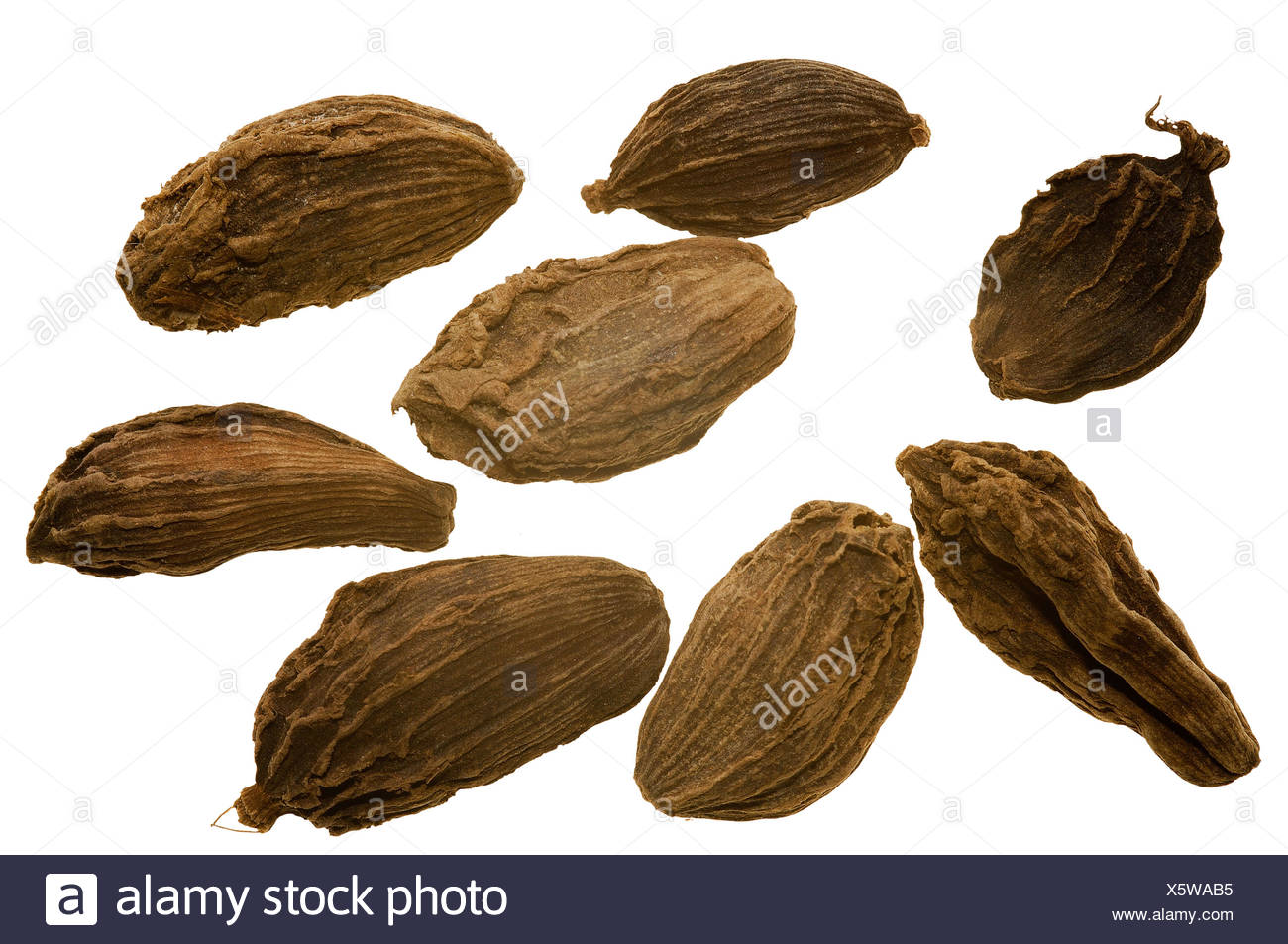 Cardamom Capsule High Resolution Stock Photography and Images - Alamy