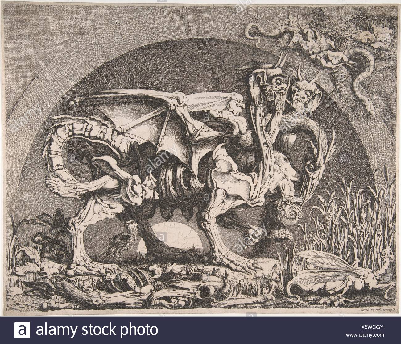 Bird Bone Etching High Resolution Stock Photography and Images - Alamy