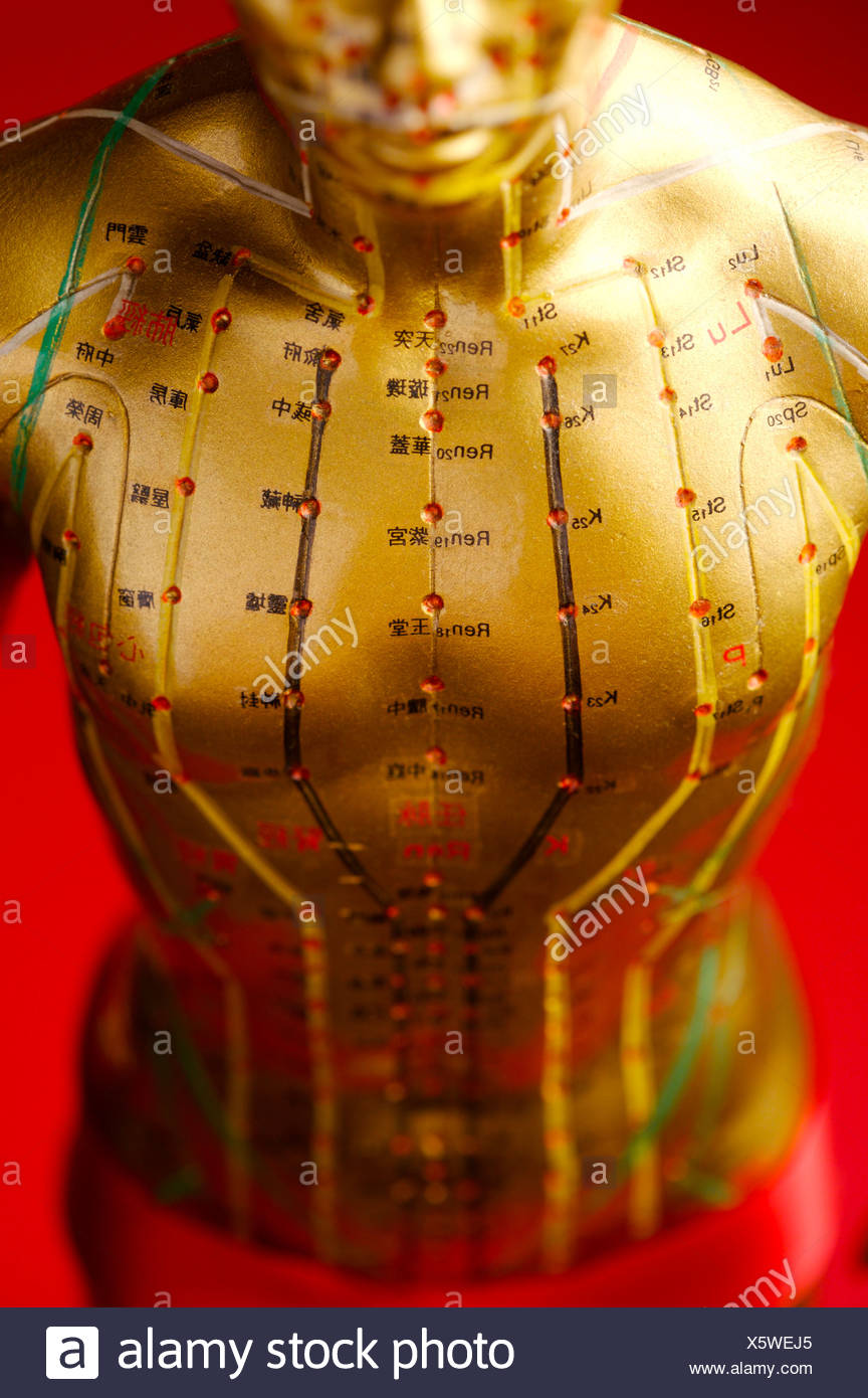 Acupuncture Meridians High Resolution Stock Photography and Images - Alamy