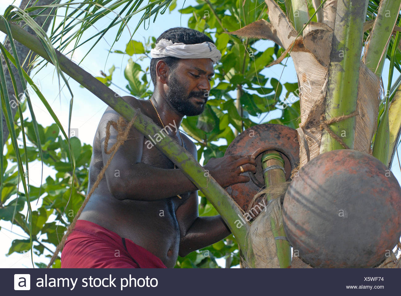 Wine India Stock Photos & Wine India Stock Images - Alamy