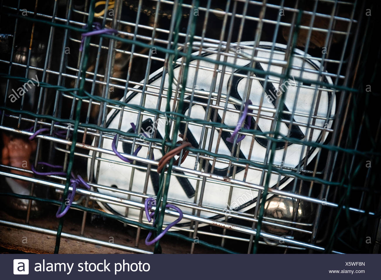 Ddr Geschichte High Resolution Stock Photography and Images - Alamy