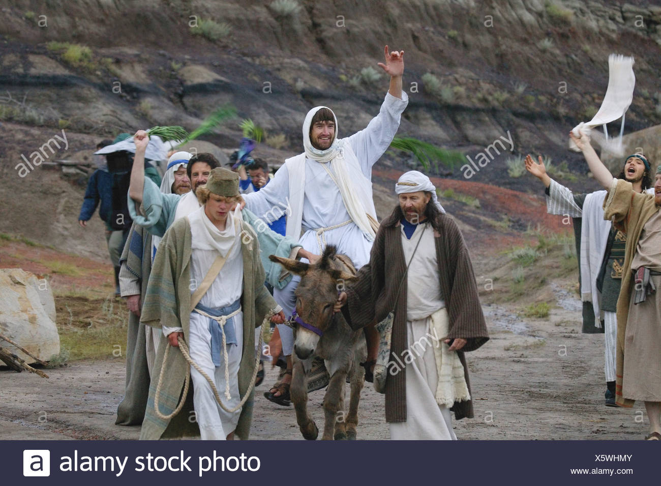 Donkey Colt High Resolution Stock Photography and Images - Alamy