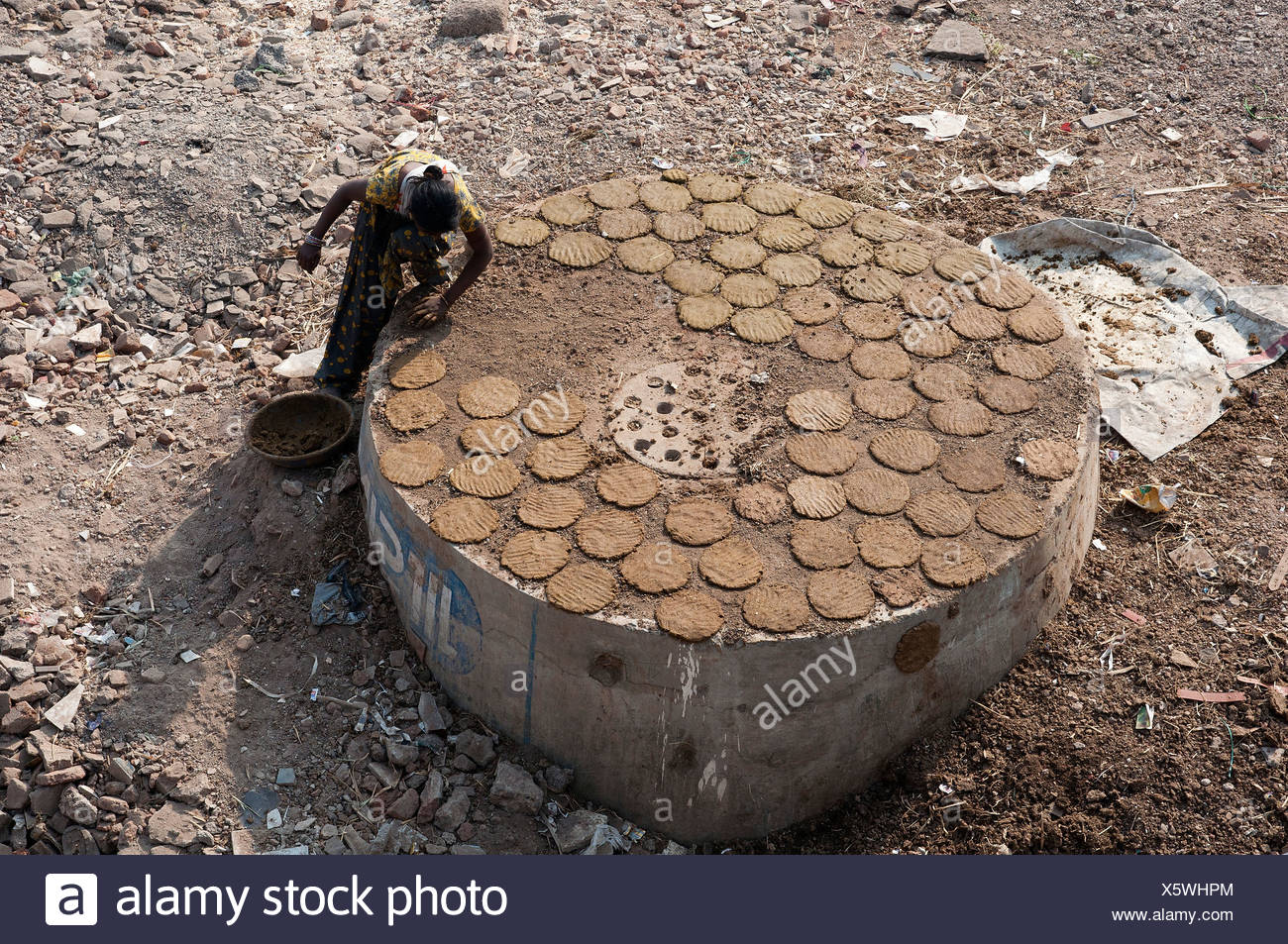 Cow Dung India High Resolution Stock Photography and Images - Alamy