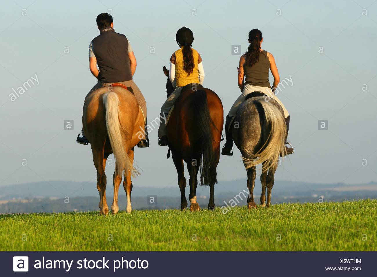 Man Walking Horse Rear View High Resolution Stock Photography and ...