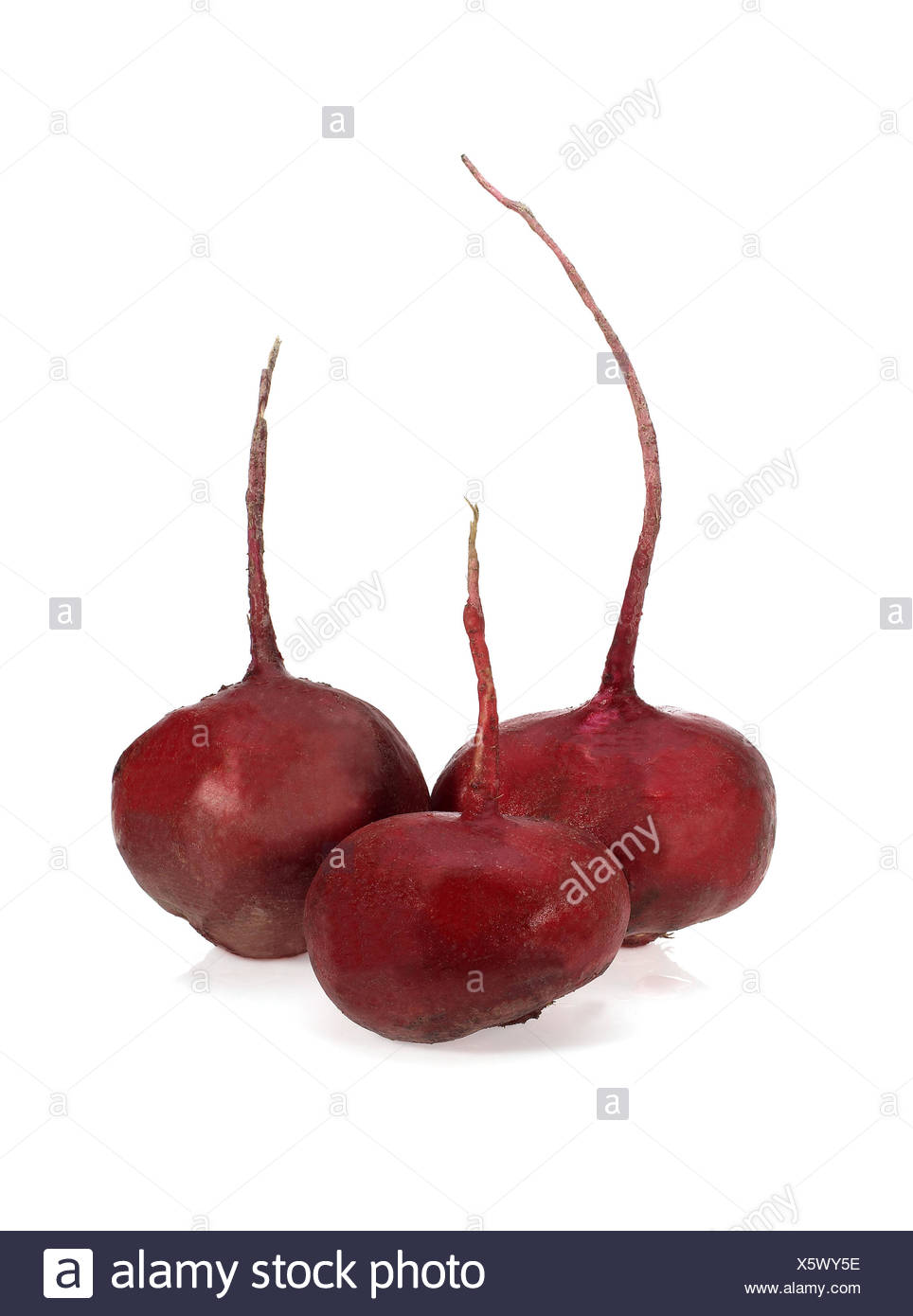 Vulgaris Rubra High Resolution Stock Photography and Images - Alamy