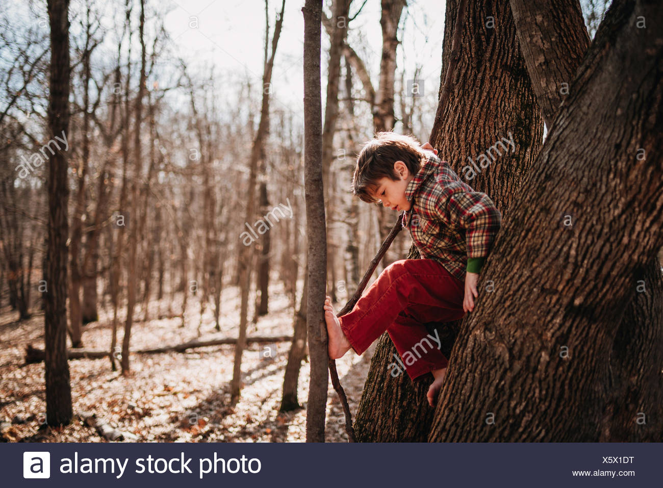 Boy Climbing Tree Barefoot High Resolution Stock Photography and Images ...