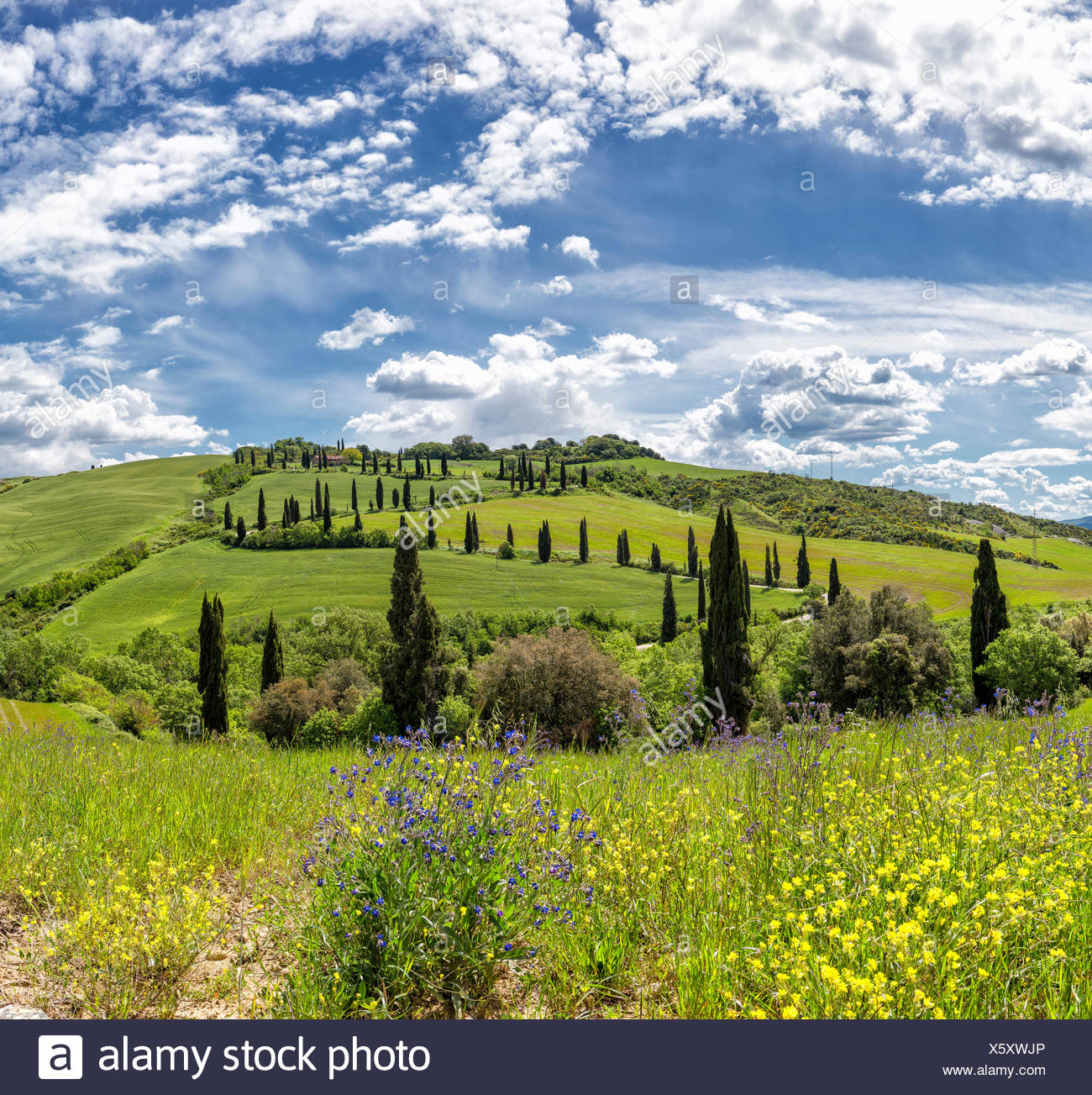 Castelluccio Italy Stock Photos & Castelluccio Italy Stock Images - Alamy