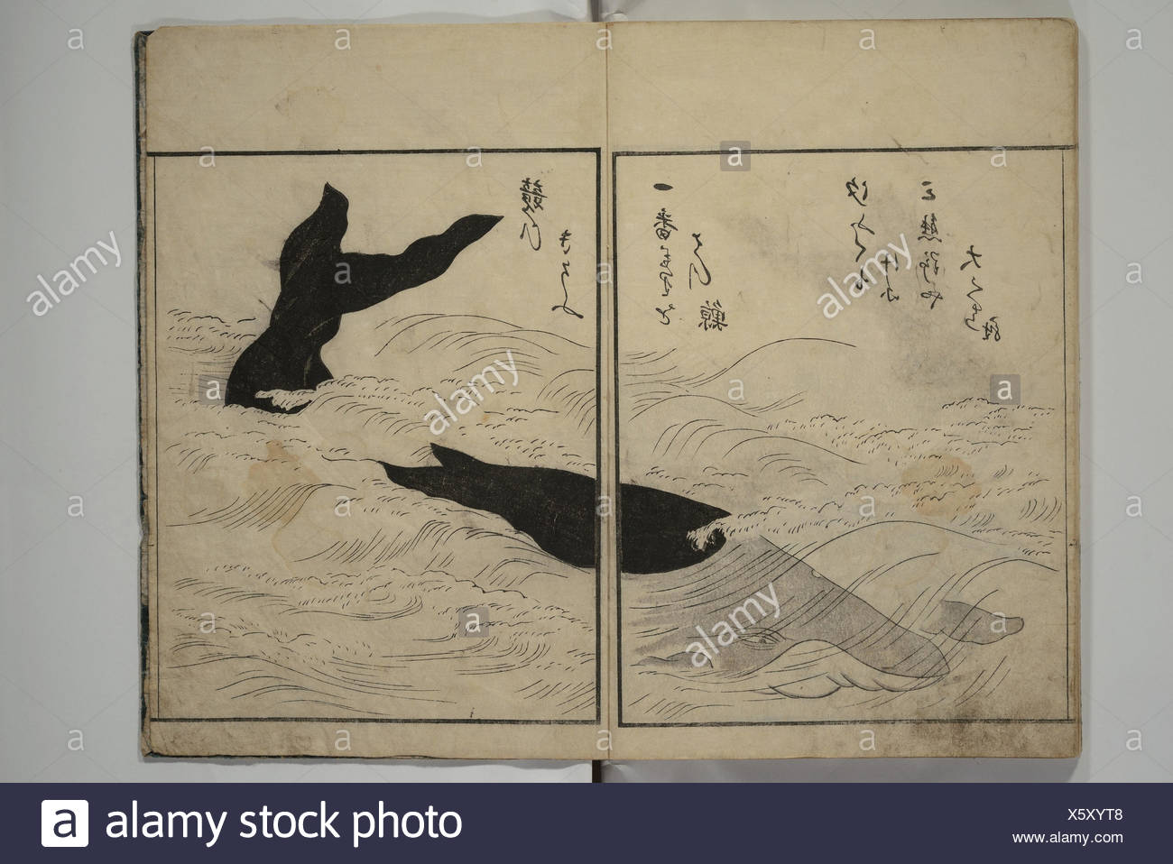 Kuwagata Keisai High Resolution Stock Photography and Images - Alamy