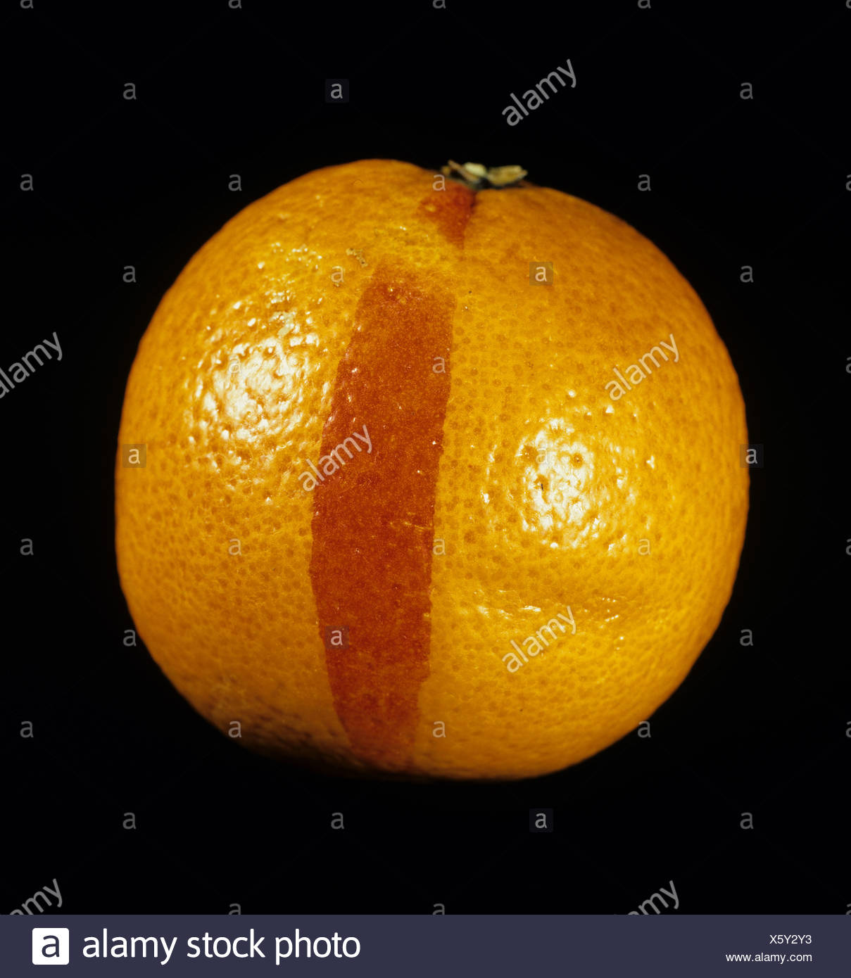 Genetic Deformity High Resolution Stock Photography and Images - Alamy