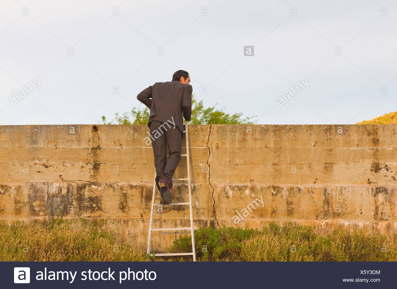 Peering Over Wall Stock Photos & Peering Over Wall Stock Images - Alamy
