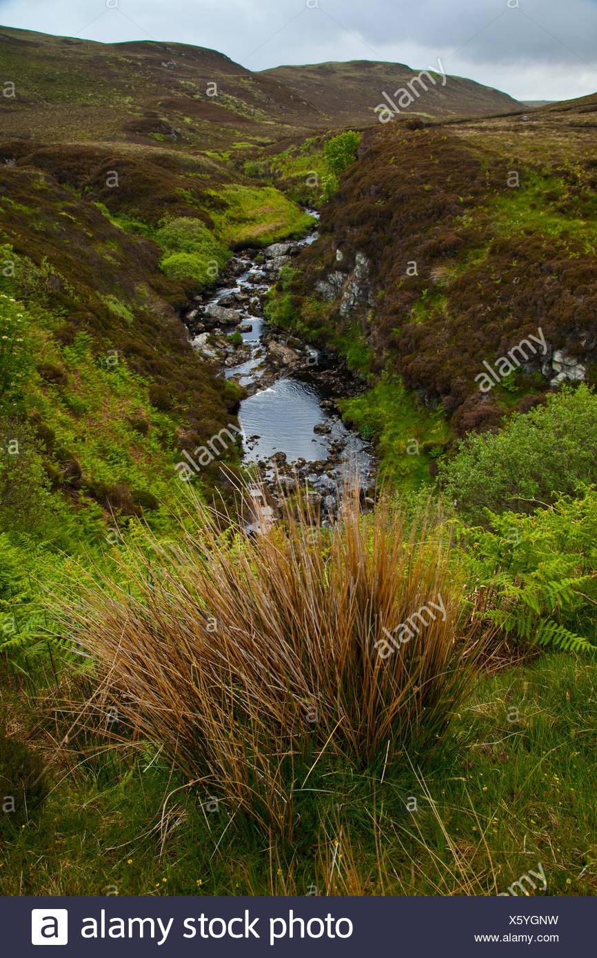 Isla River Scotland High Resolution Stock Photography and Images - Alamy