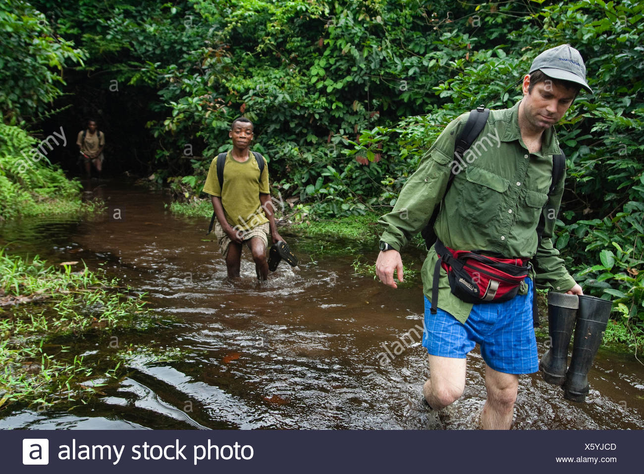 Primatologist Stock Photos & Primatologist Stock Images - Alamy