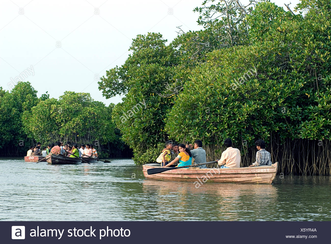 Pichavaram Mangrove High Resolution Stock Photography and Images - Alamy