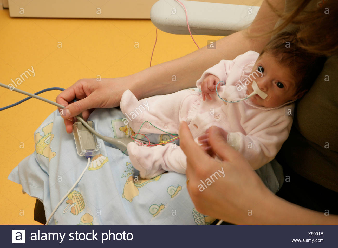 Premature Feeding High Resolution Stock Photography and Images - Alamy