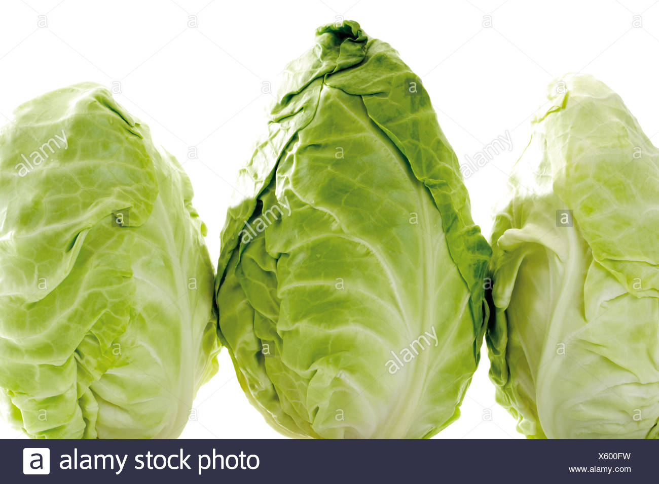 Pointed Cabbage Stock Photos & Pointed Cabbage Stock Images - Alamy