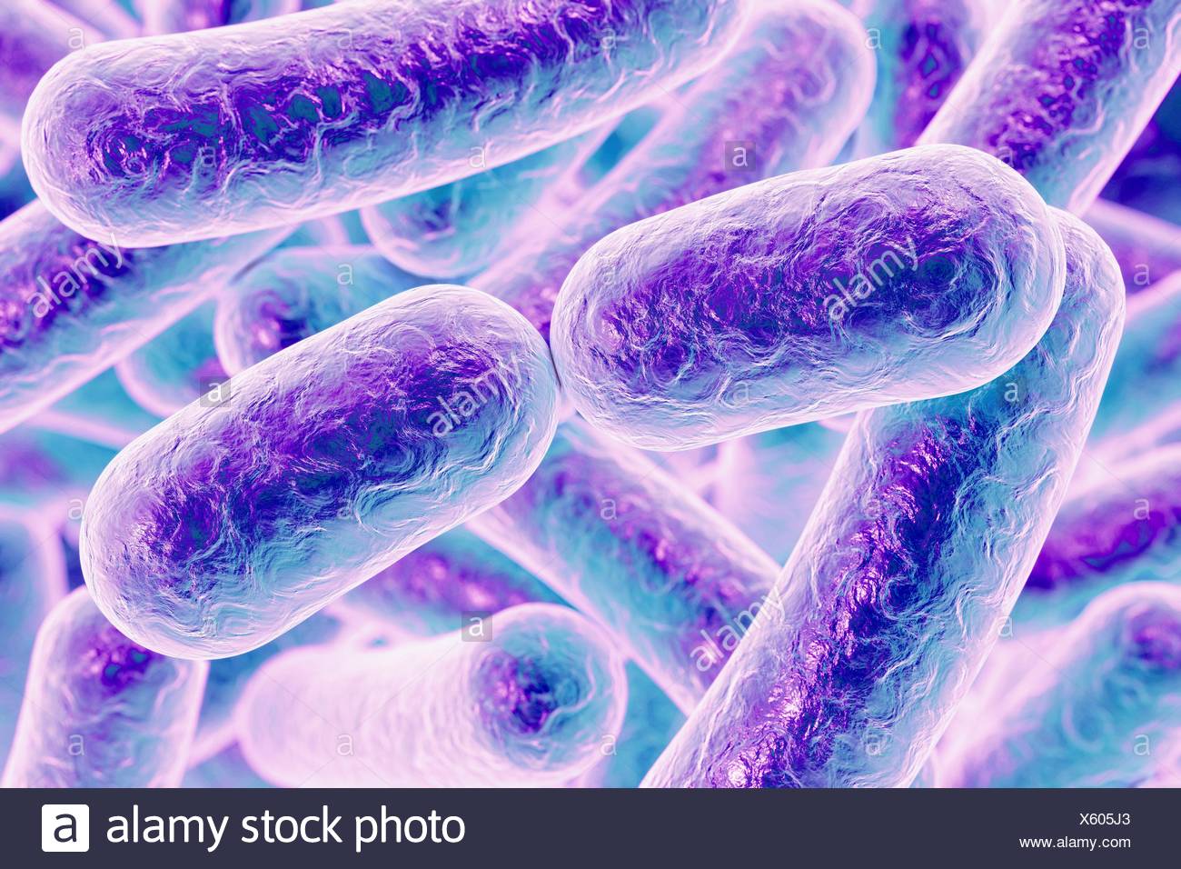 Citrobacter High Resolution Stock Photography and Images - Alamy