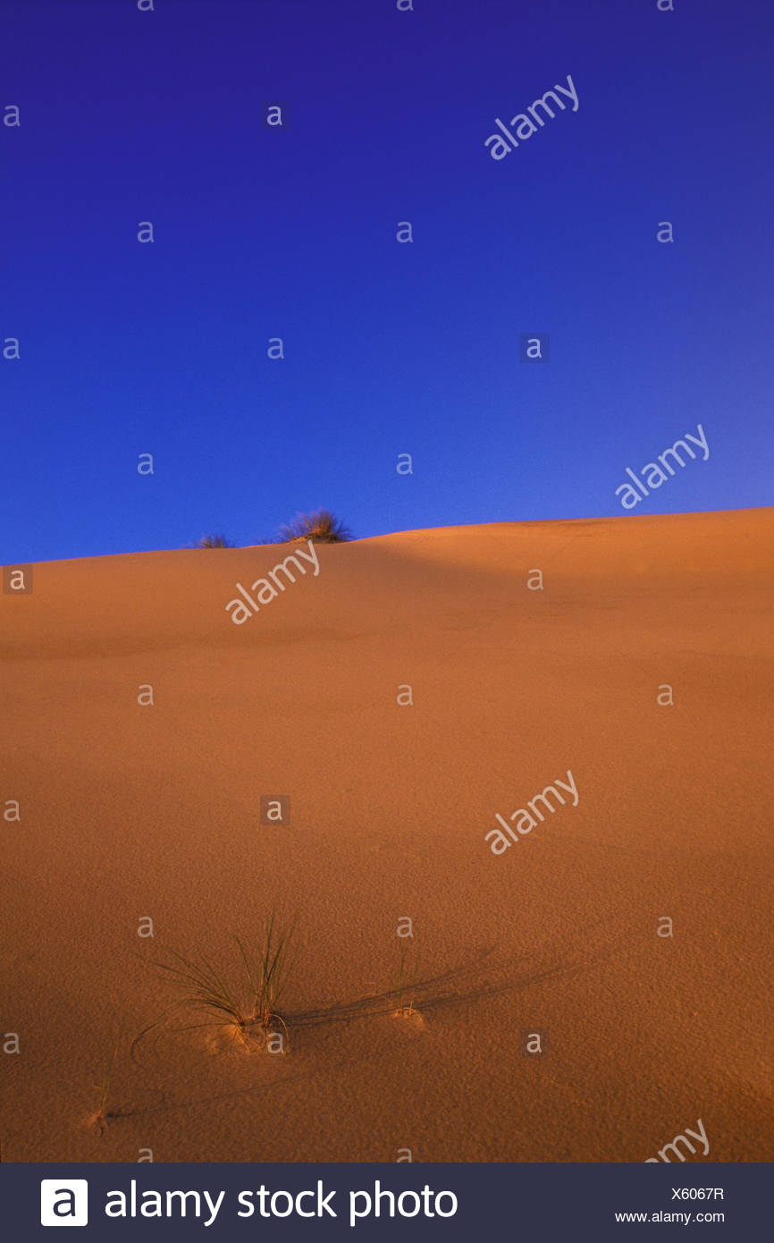 Saskatchewan Canada Sand Dunes Stock Photos & Saskatchewan Canada Sand ...