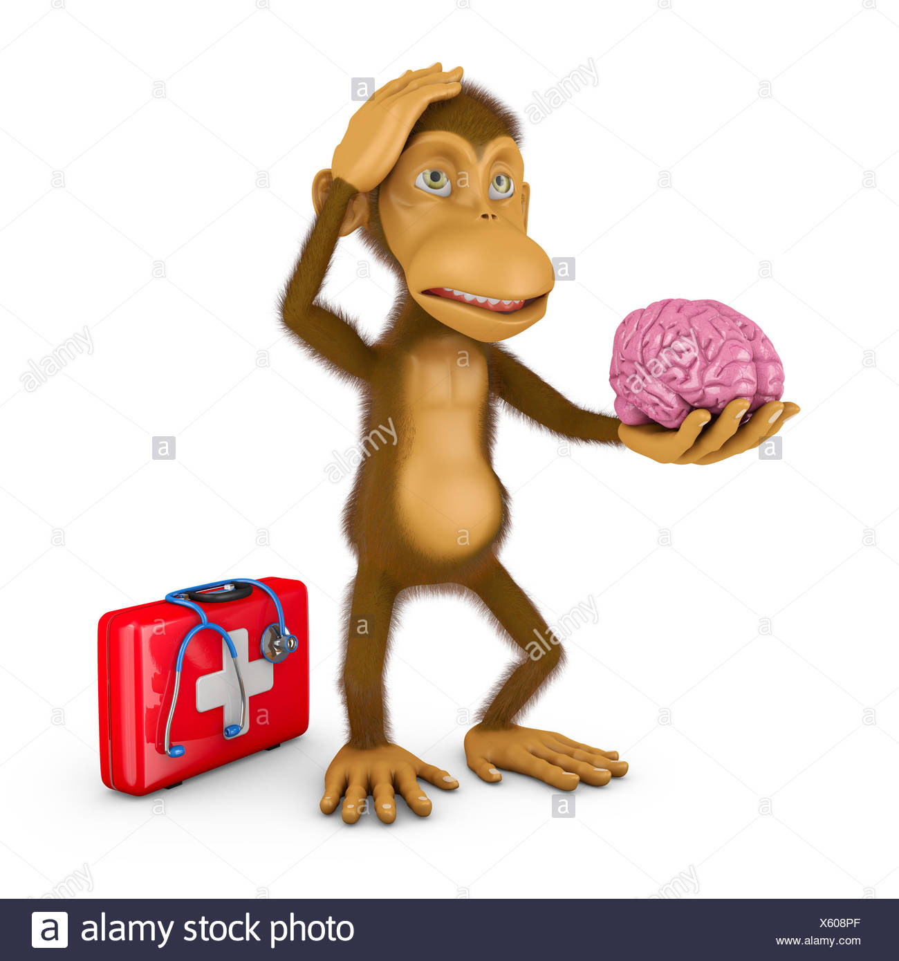 Chimpanzee Brain Stock Photos & Chimpanzee Brain Stock Images - Alamy