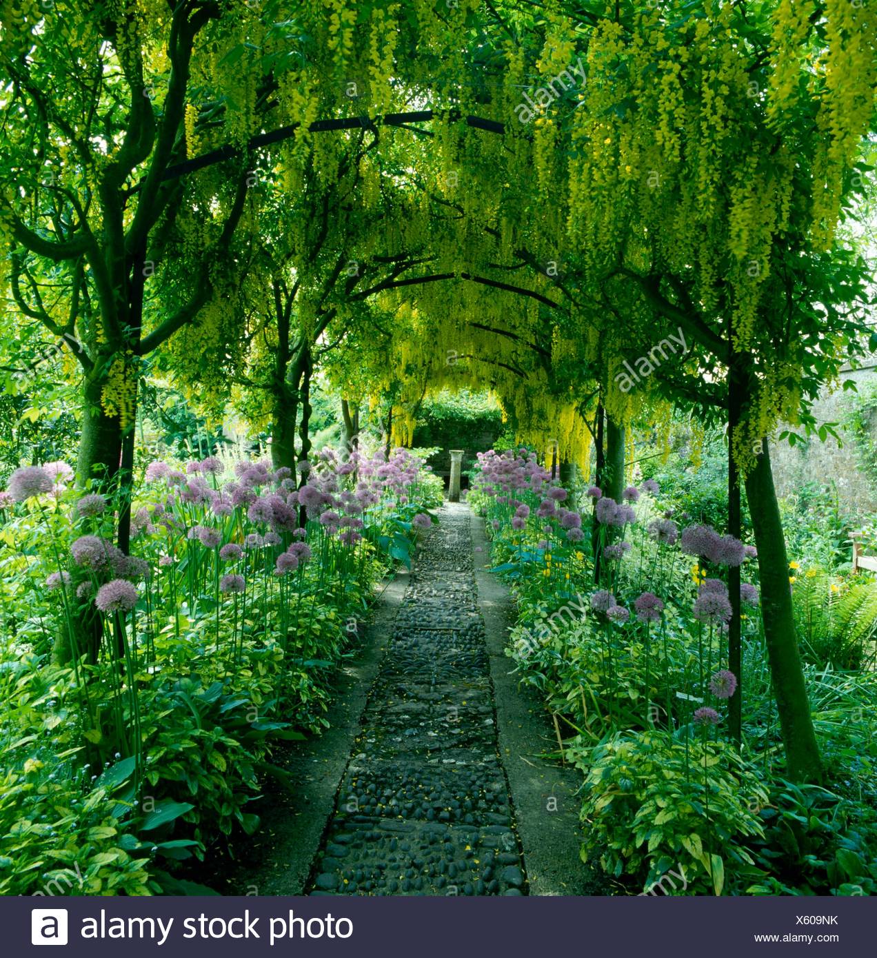 Rosemary Verey High Resolution Stock Photography and Images - Alamy