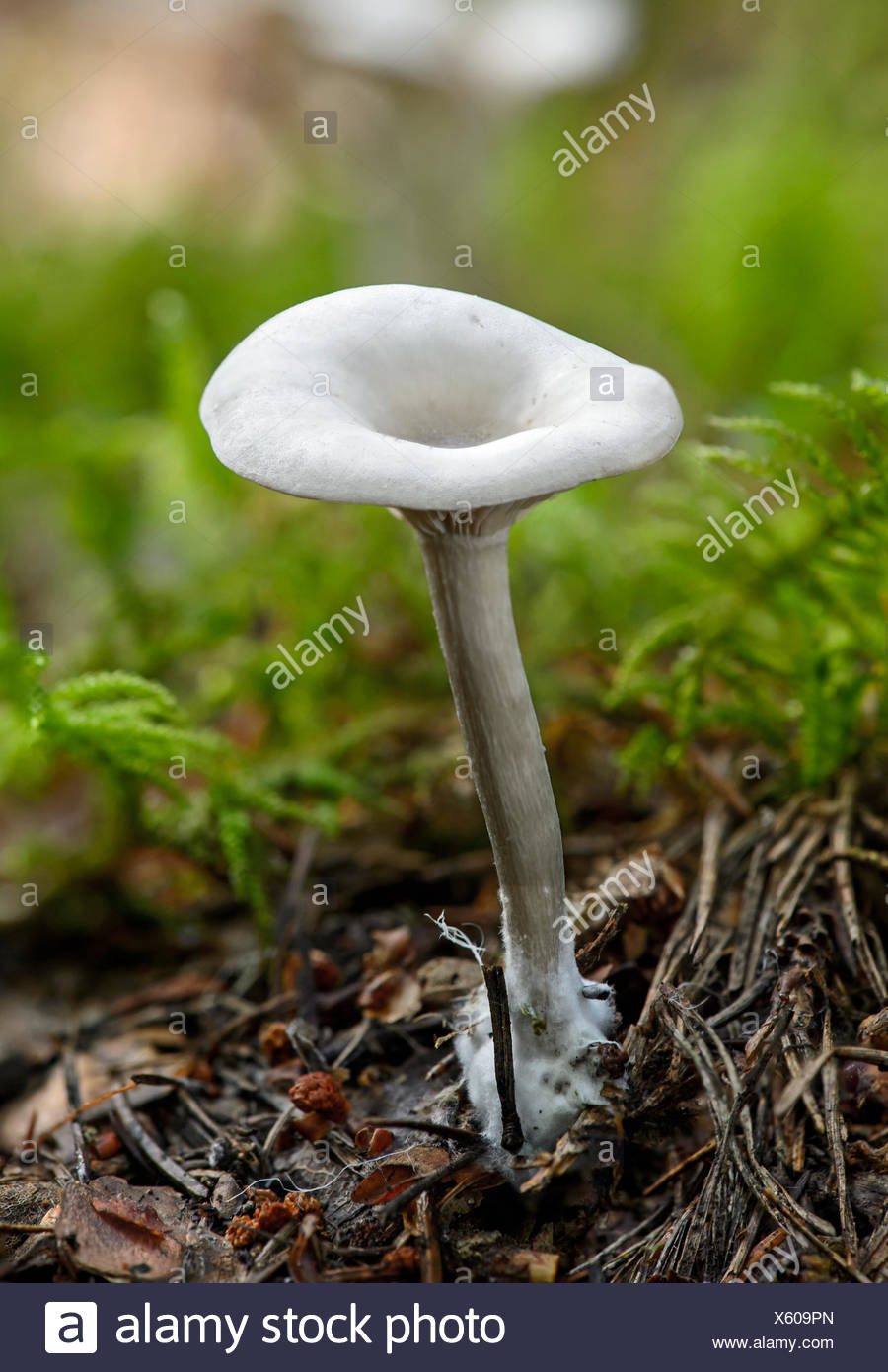 One Funnel High Resolution Stock Photography and Images - Alamy