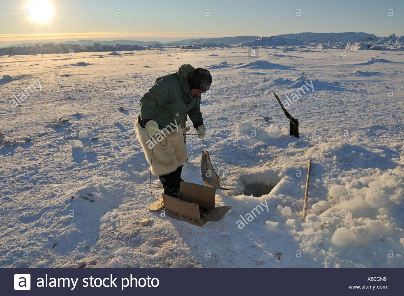 Greenland Inuit Fishing Stock Photos & Greenland Inuit Fishing Stock ...