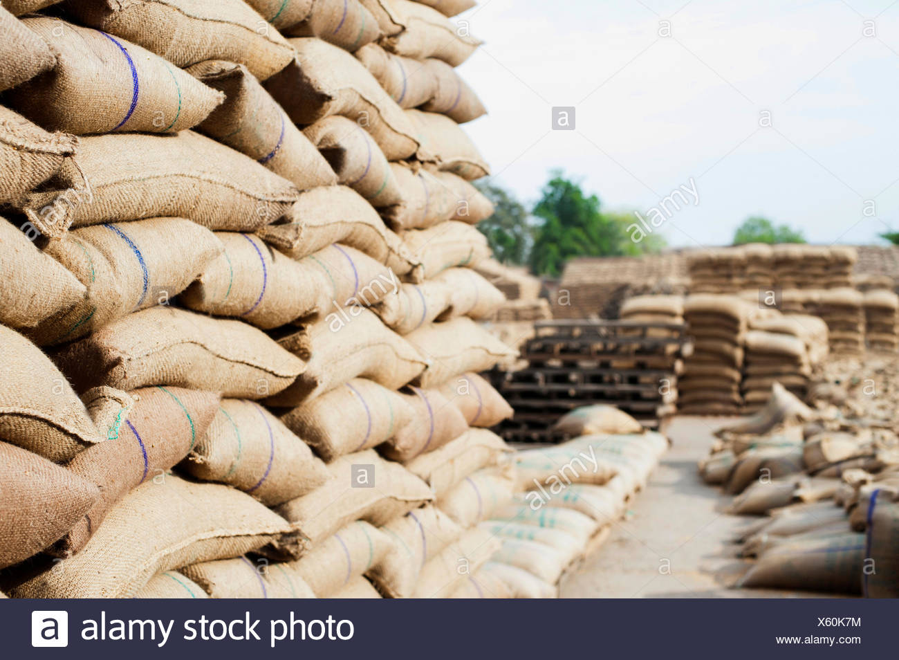 Anaj Mandi Stock Photos & Anaj Mandi Stock Images - Alamy