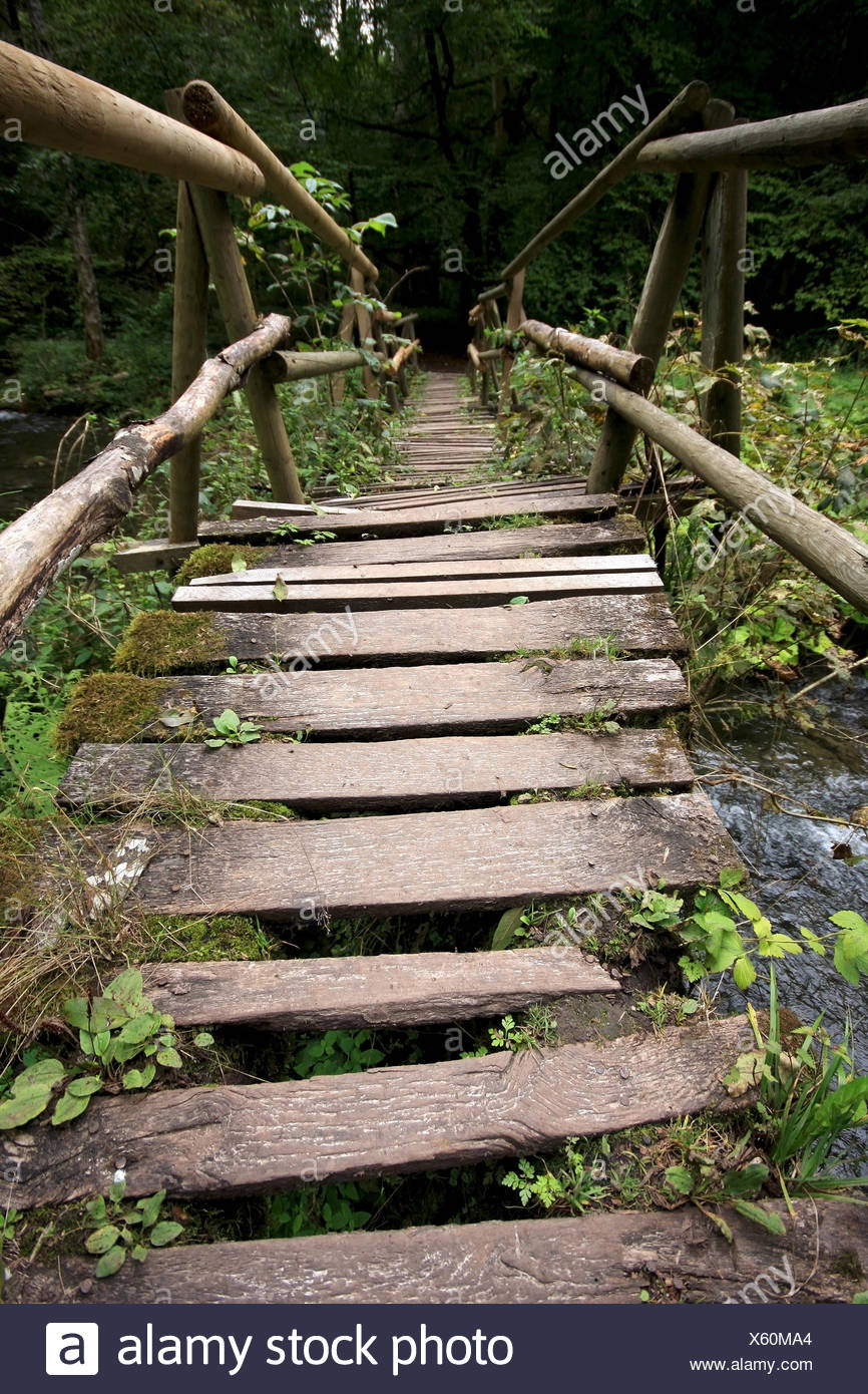 Black Forest Schwarzwald Germany Bridge High Resolution Stock ...