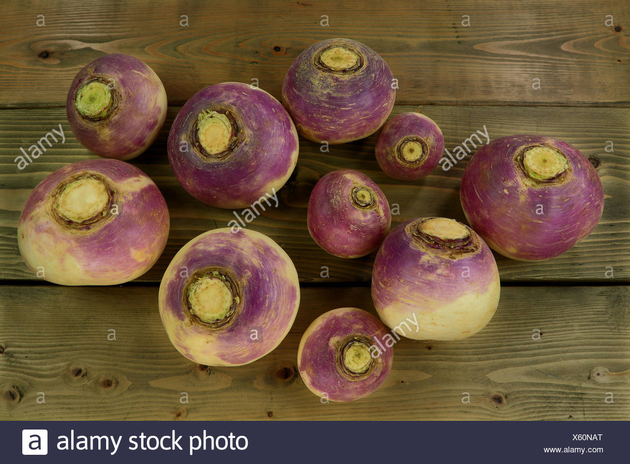 Edible Roots Stock Photos & Edible Roots Stock Images - Alamy