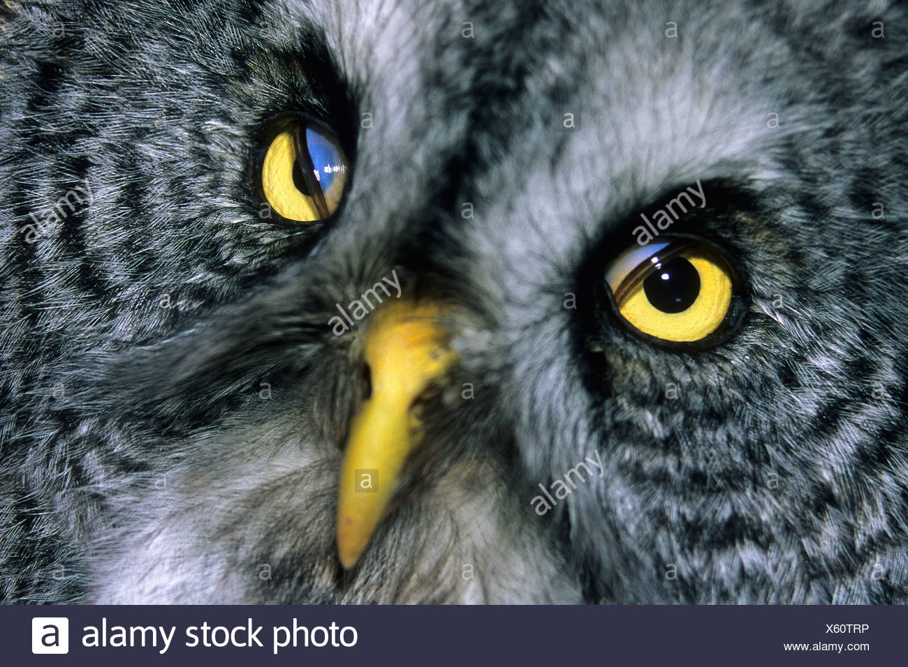 Visible Stock Photos & Visible Stock Images - Alamy