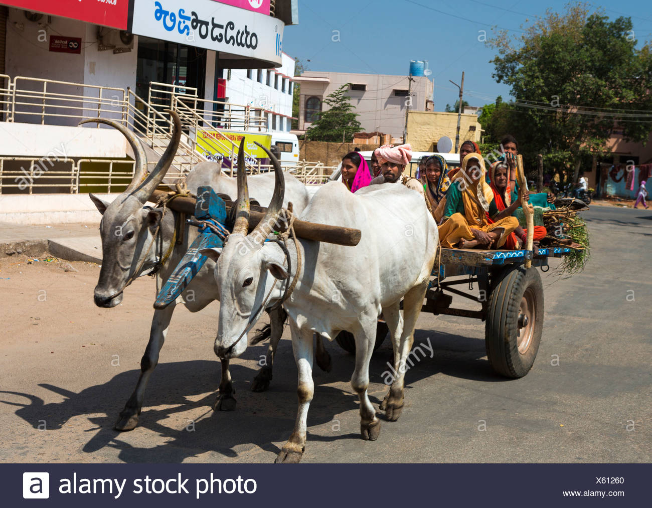 Ox Cart India High Resolution Stock Photography and Images - Alamy