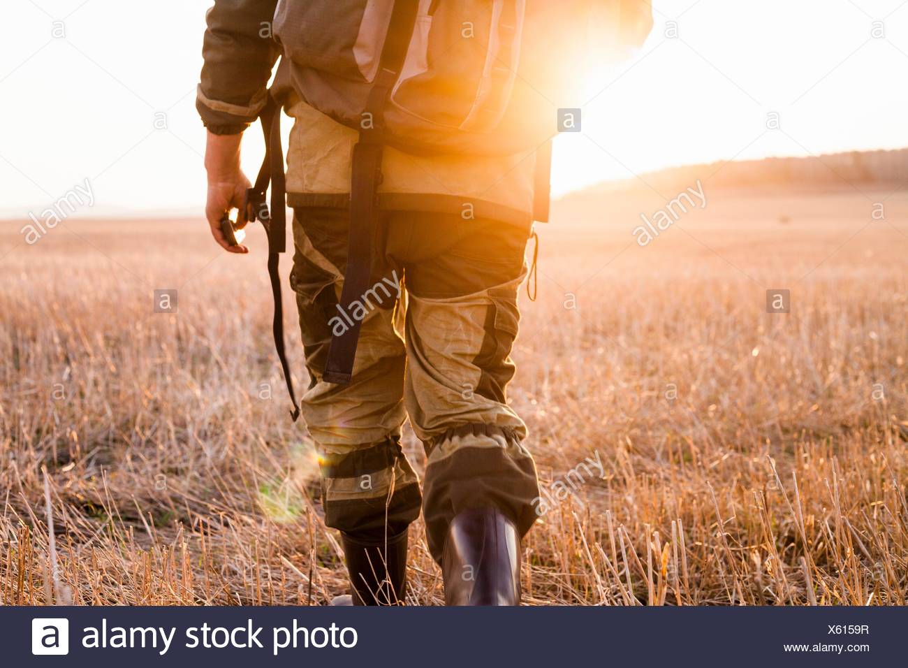 Walking Through Field Man High Resolution Stock Photography and Images ...