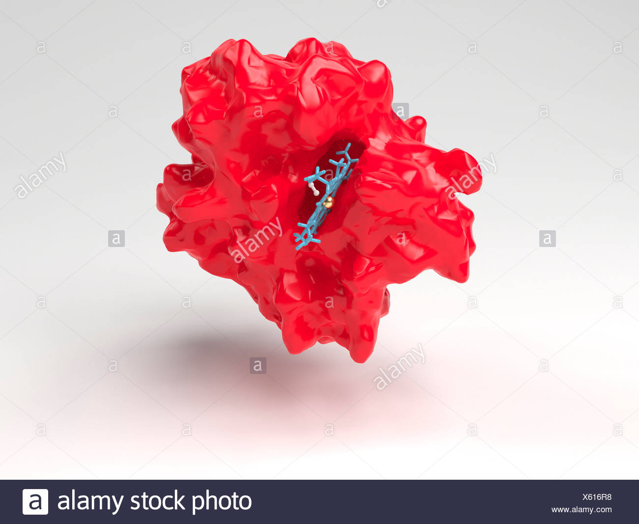 Haemoglobin Stock Photos & Haemoglobin Stock Images - Alamy