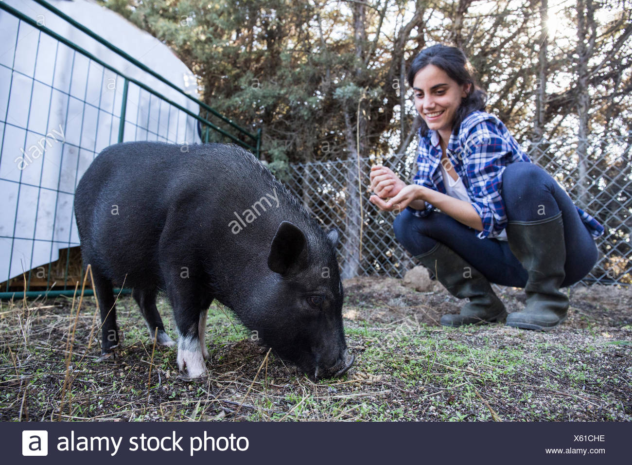 Woman With Pig Stock Photos & Woman With Pig Stock Images - Alamy