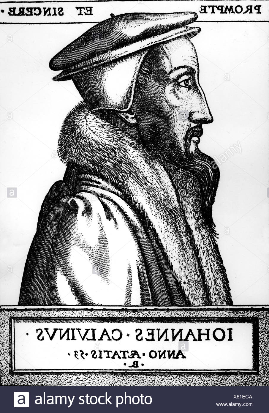 Portrait Of John Calvin Stock Photos & Portrait Of John Calvin Stock ...