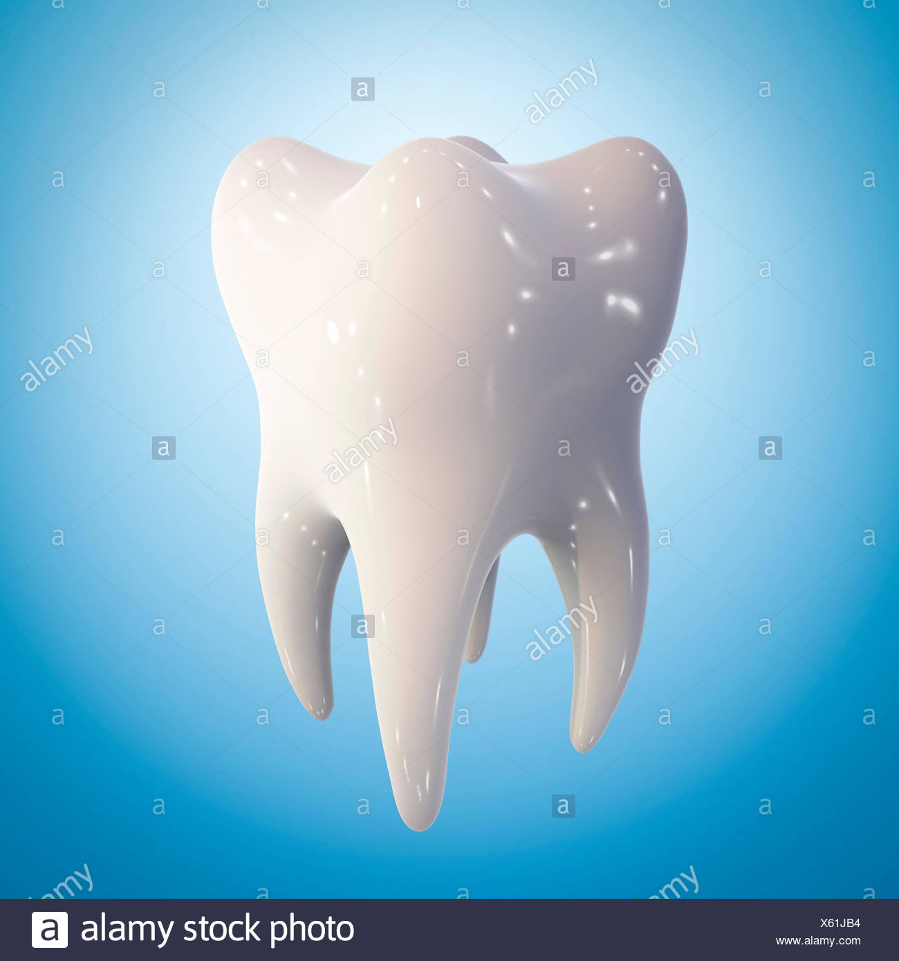 Tooth Roots High Resolution Stock Photography and Images - Alamy