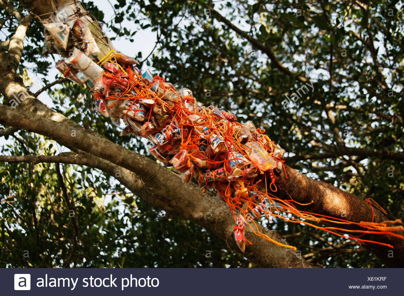 Sacred Thread India Stock Photos & Sacred Thread India Stock Images - Alamy