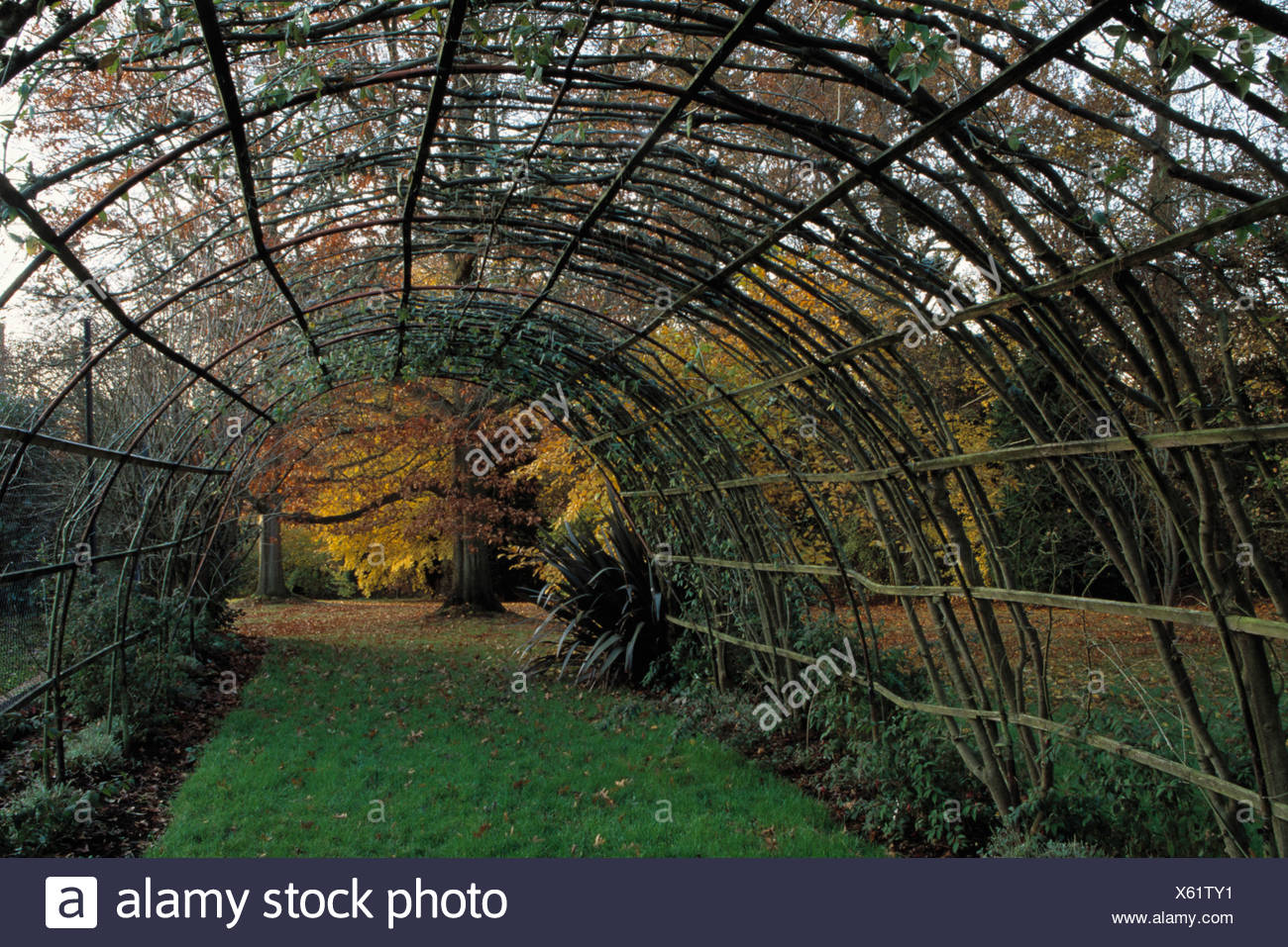 Arched Pergola Stock Photos & Arched Pergola Stock Images - Alamy