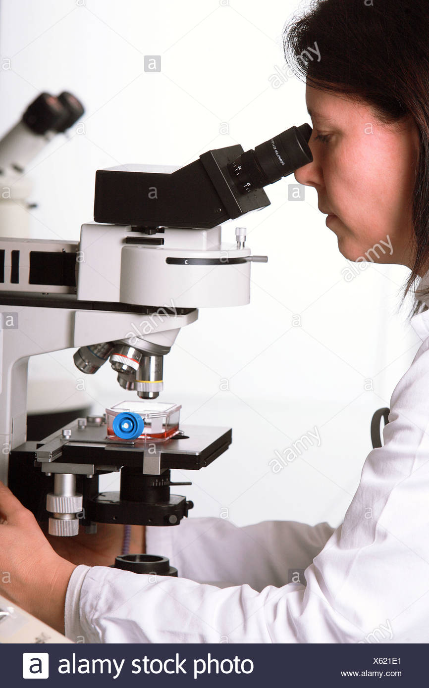 Biological Sciences High Resolution Stock Photography and Images - Alamy