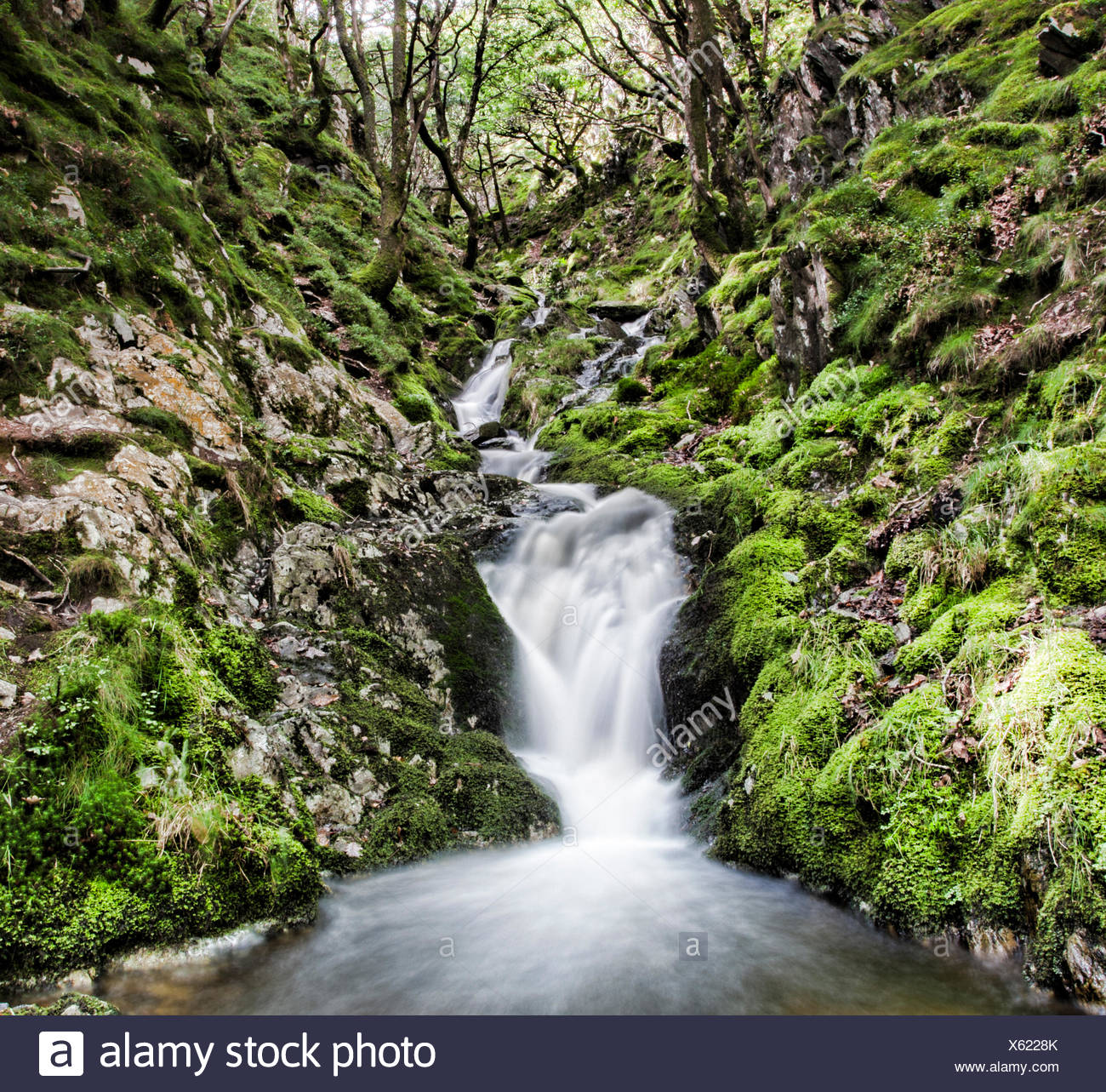 River Flowing High Resolution Stock Photography and Images - Alamy