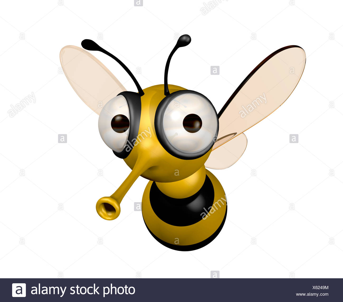 Funny Wasp High Resolution Stock Photography and Images - Alamy