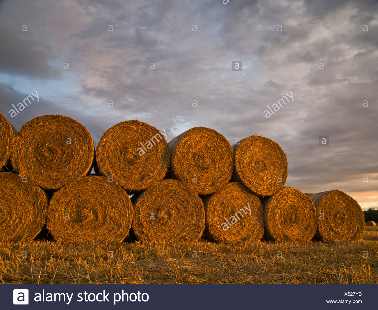 Agriculture Burgenland High Resolution Stock Photography and Images - Alamy