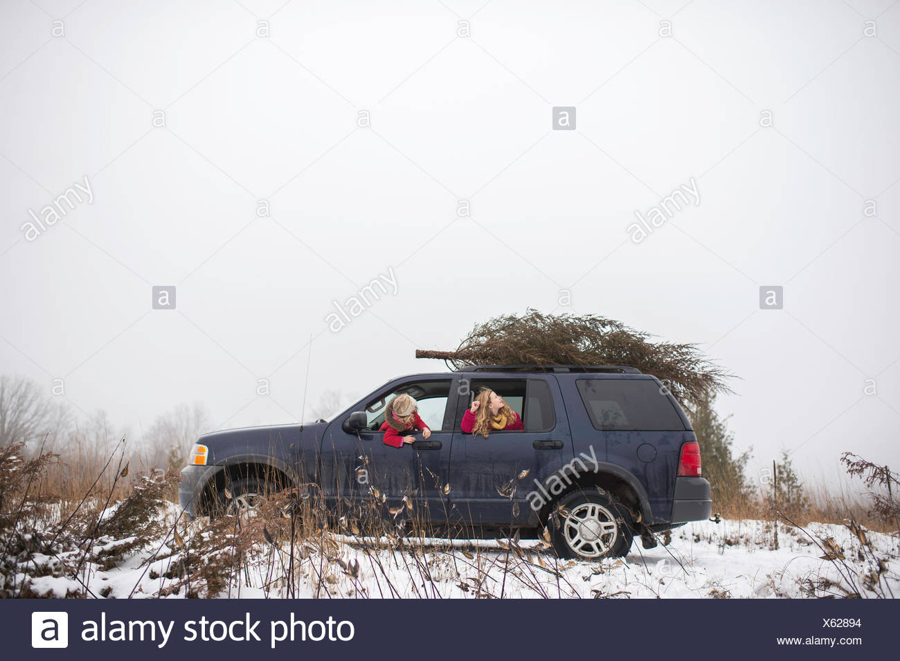 Girl On Car Roof High Resolution Stock Photography and Images - Alamy