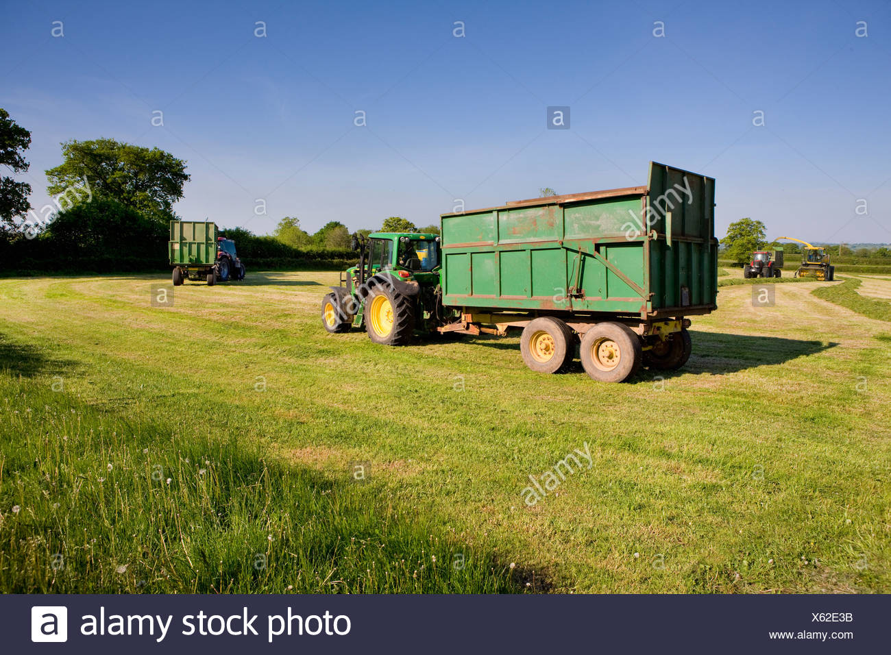 Grass Silage Stock Photos & Grass Silage Stock Images - Alamy
