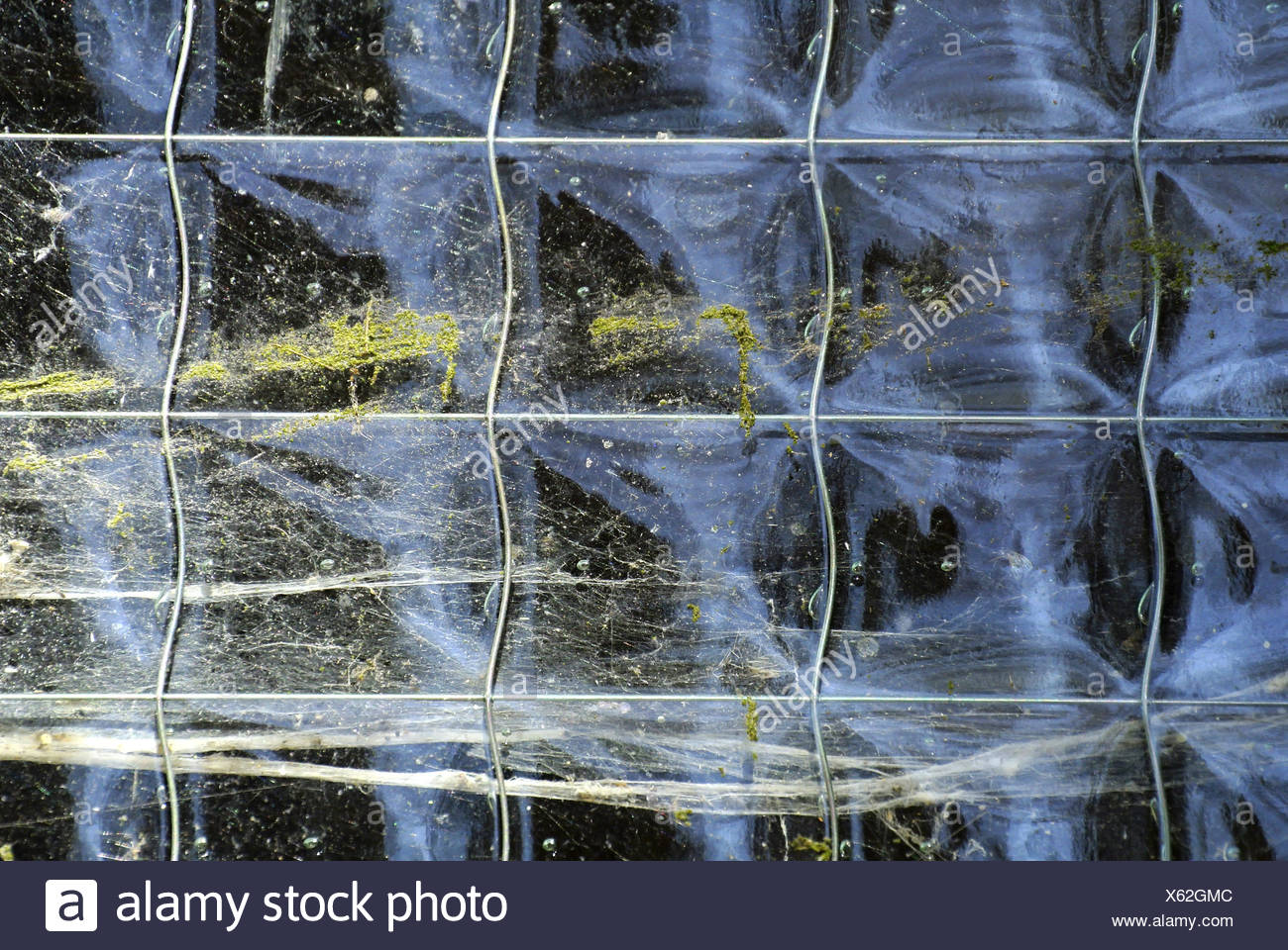 Spider Window High Resolution Stock Photography and Images - Alamy