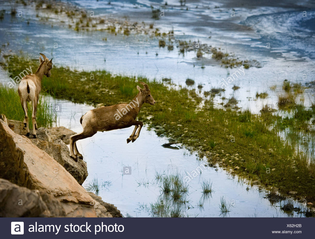 Gre5888 High Resolution Stock Photography and Images - Alamy