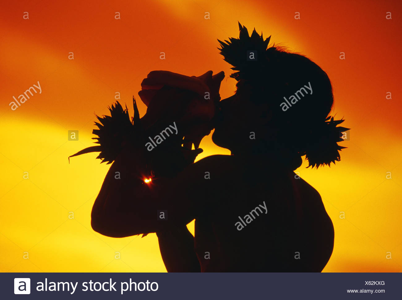 Hawaiian Man Blowing Conch Shell High Resolution Stock Photography and ...