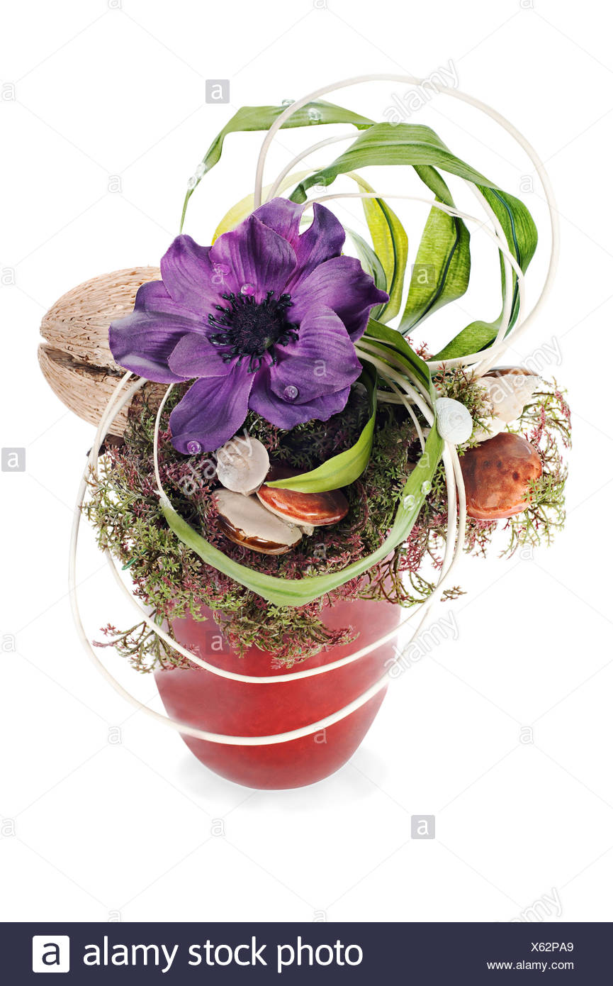 Coconut Craft Stock Photos & Coconut Craft Stock Images - Alamy